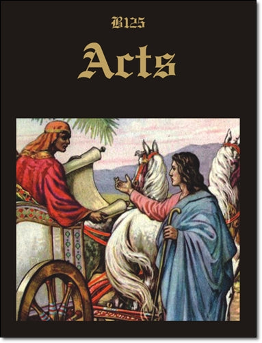 Bible Grade 05 - The Book of Acts – Landmark's Freedom Baptist Curriculum